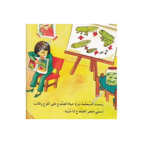 There is a Frog in our Classroom (Arabic) – i2 Kids